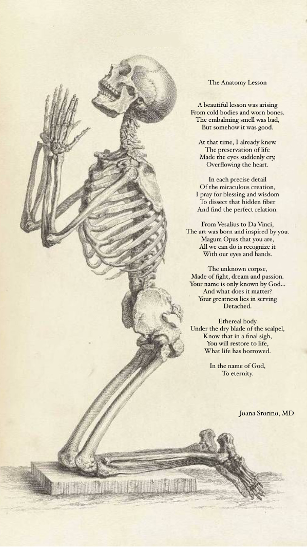 ANATOMY CONNEX - IFAA